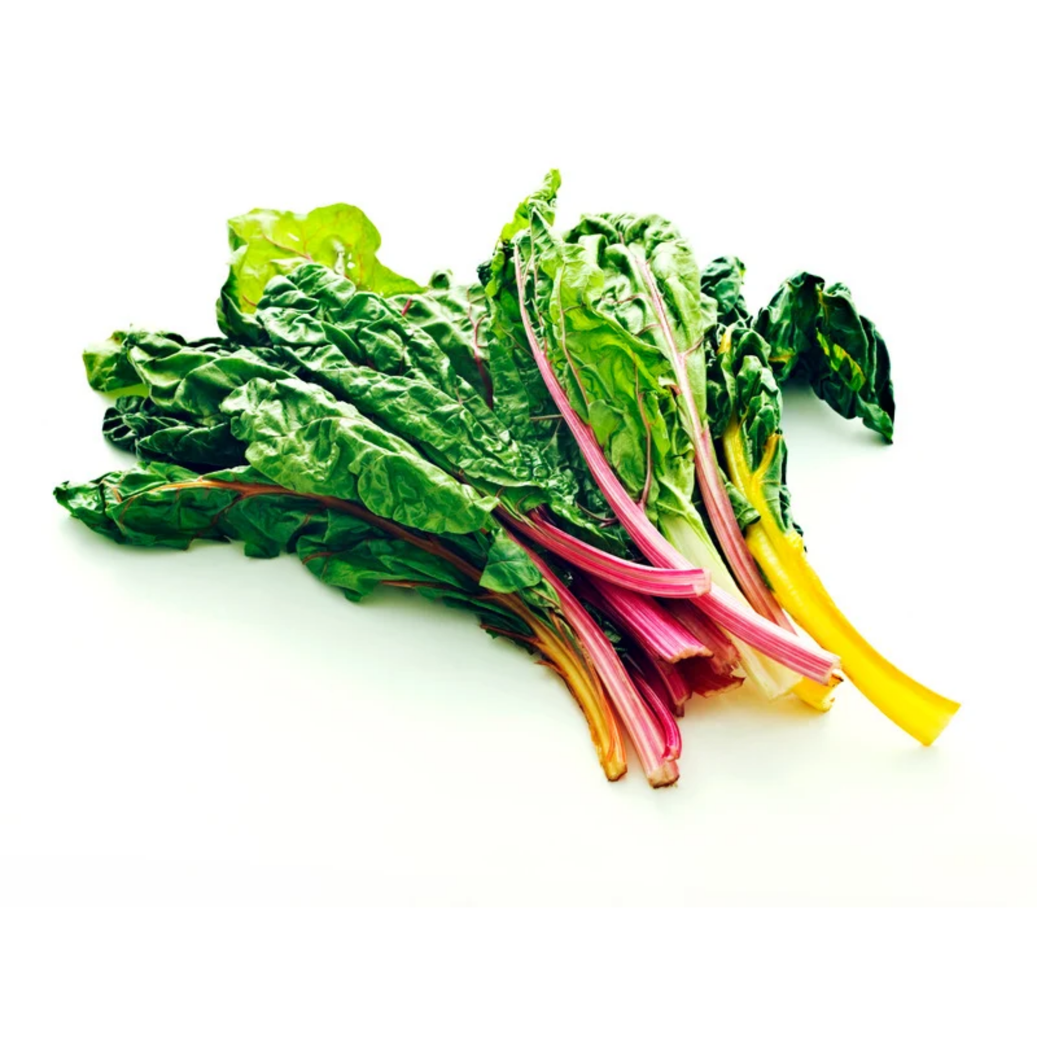 Mangold: Das bunte Power-Gemüse für Blut und Zellen
