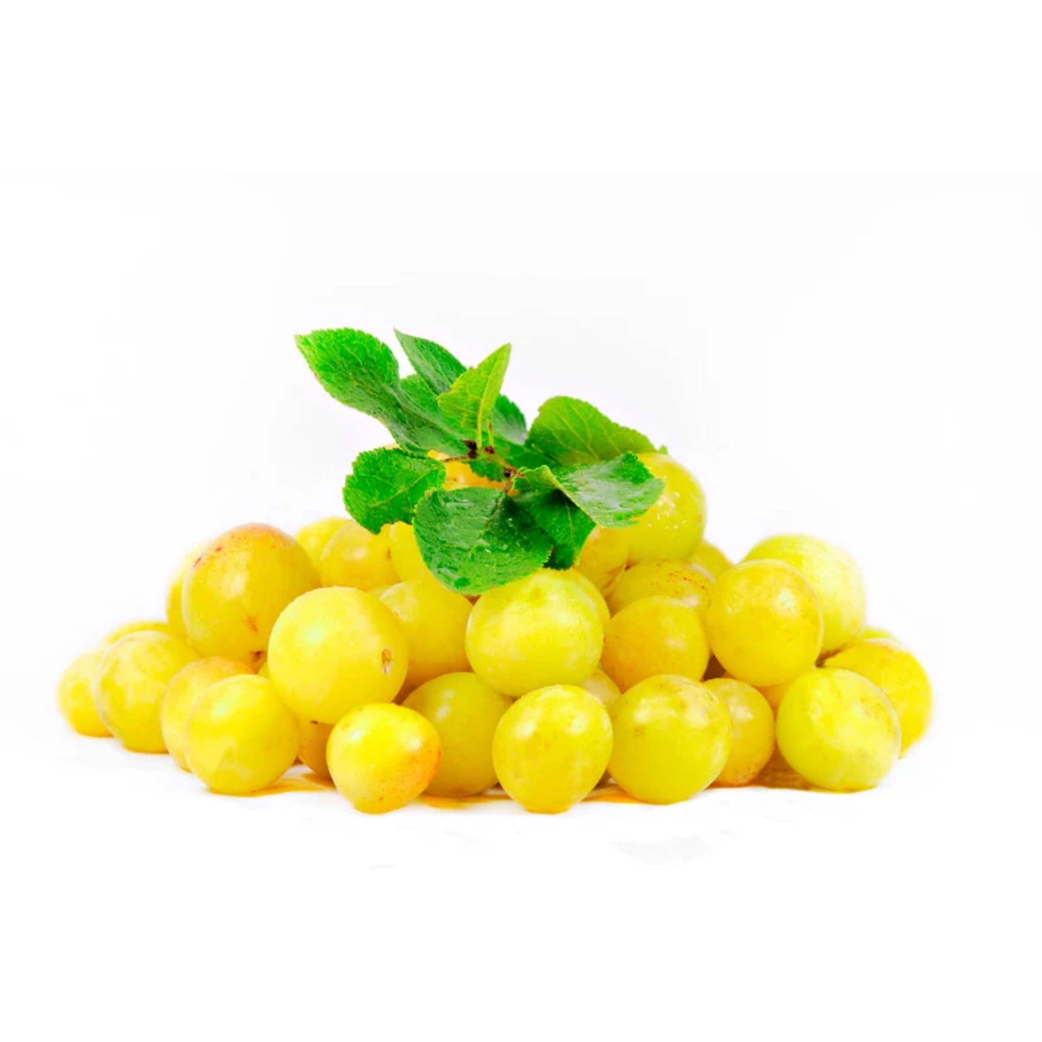 Mirabelle: Die süßen Goldkugeln des Spätsommers